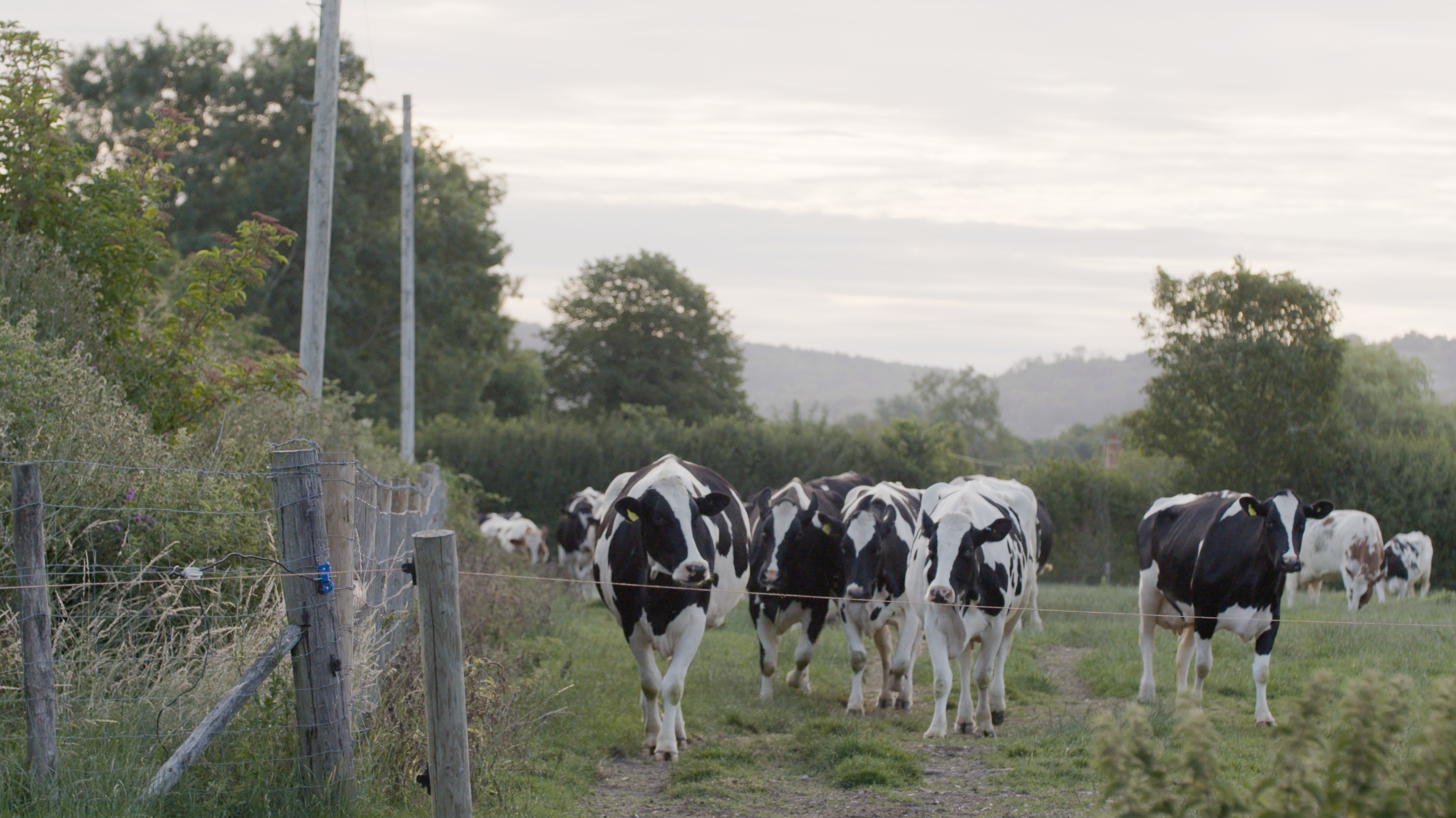 A message from Arla Foods | Arla