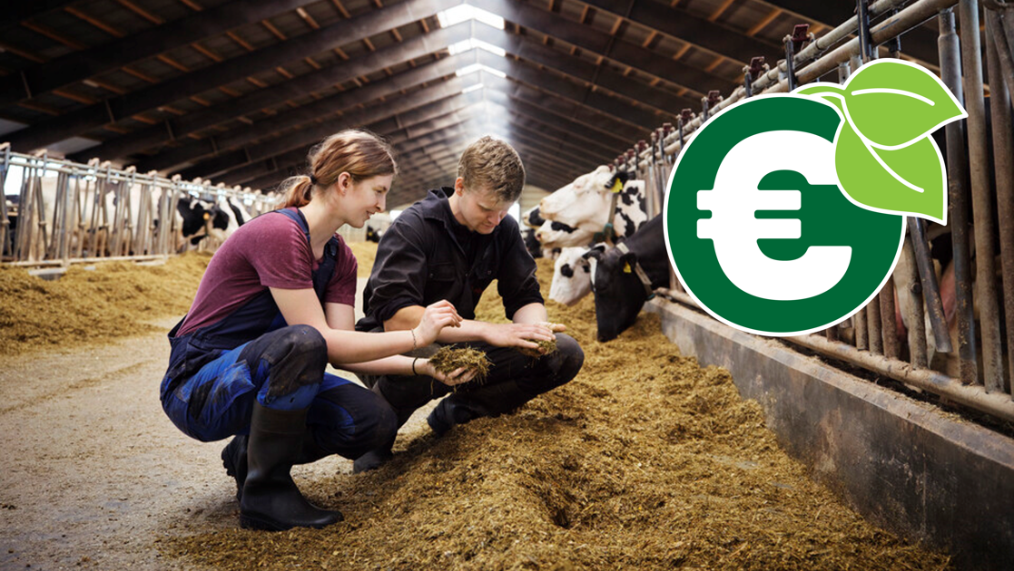 2.2 billion EUR to sustainability efforts: As of today millions are ...