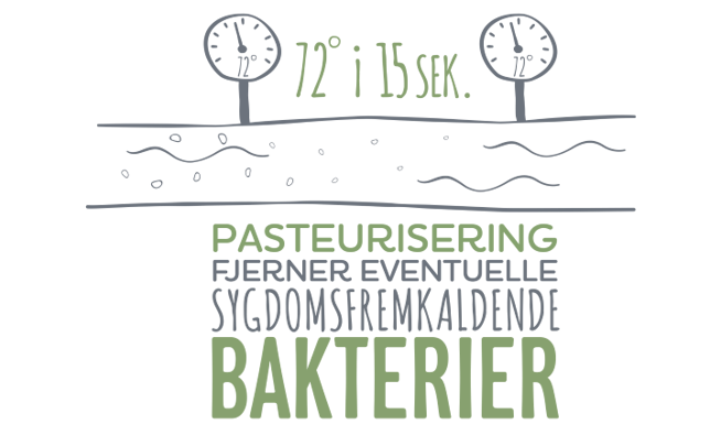 Hvorfor pasteuriserer man mælk? | Arla