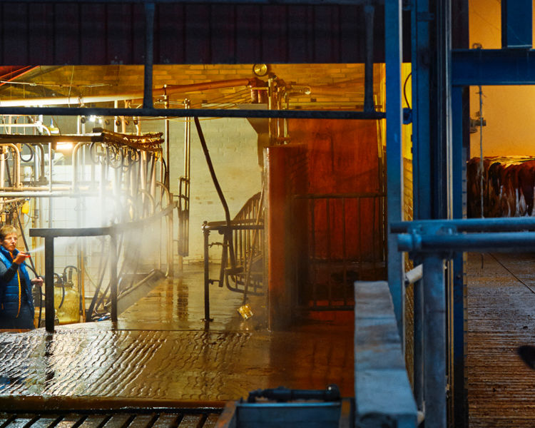 Bæredygtighed på Nr. Vium Mejeri | Arla Pro Danmark