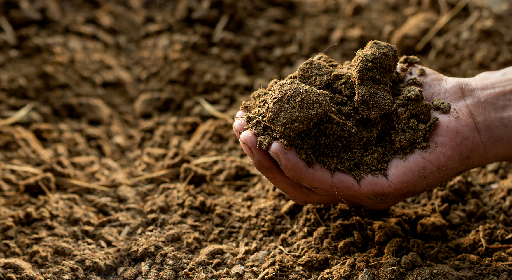 Milieuvriendelijk gebruik van mest | Arla Pro